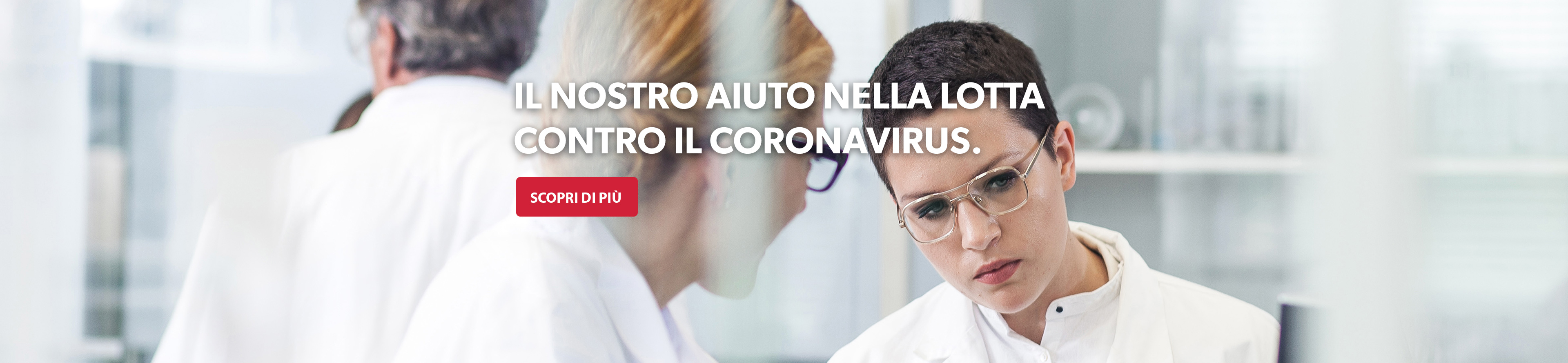 Maxi Di S.r.l. | Gruppo Commerciale | Maxidi S.r.l.